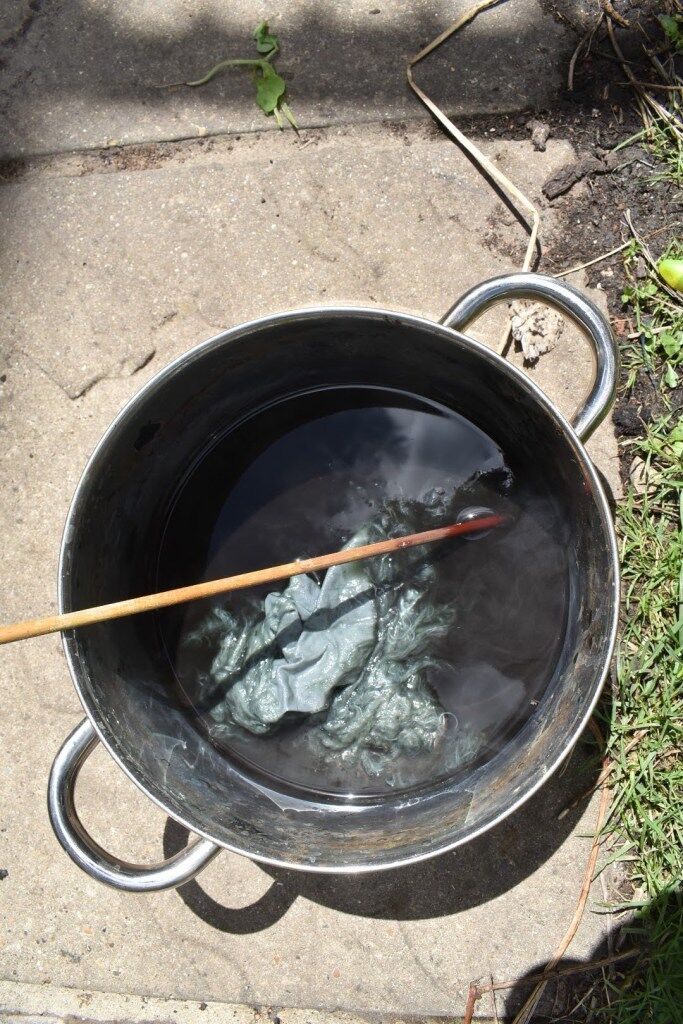 How to extract blue dye from woad - Makergardener