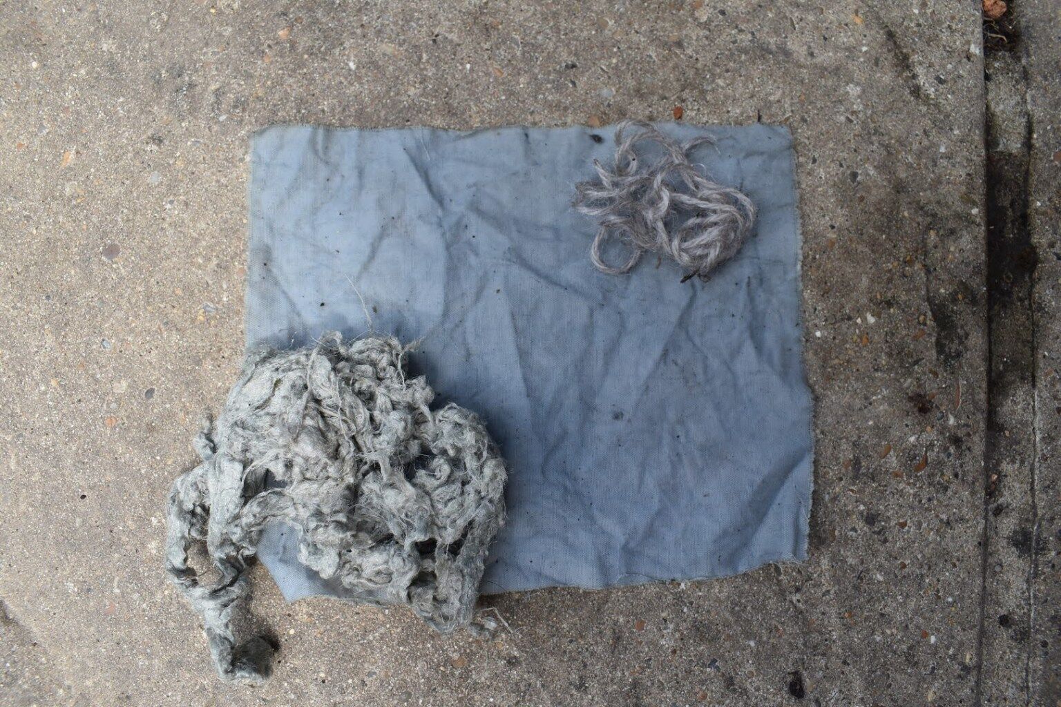 How to extract blue dye from woad - Makergardener