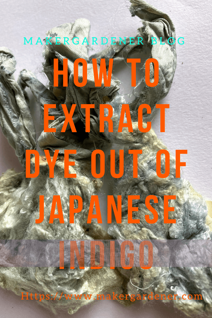 How to extract blue dye from Japanese Indigo - Makergardener