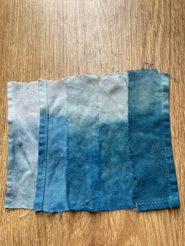 Making an organic indigo vat - Makergardener